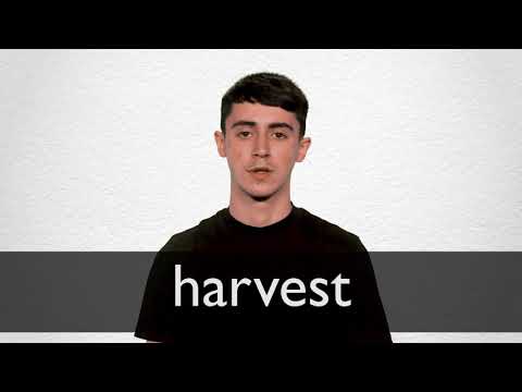 HARVEST definition and meaning | Collins English Dictionary