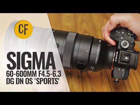 Sigma 60-600mm Sports: Unbelievably useful telephoto (732965)