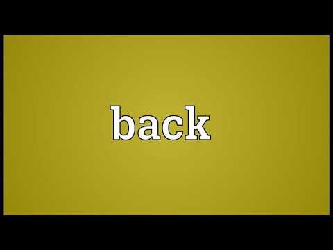back meaning in English