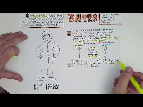 Basic Genetics Part 1