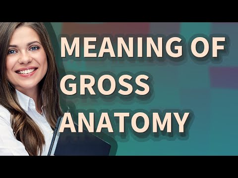 Gross anatomy | meaning of Gross anatomy