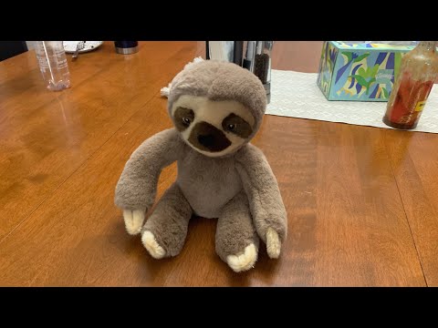 Eco Nation sloth 🦥 toy review