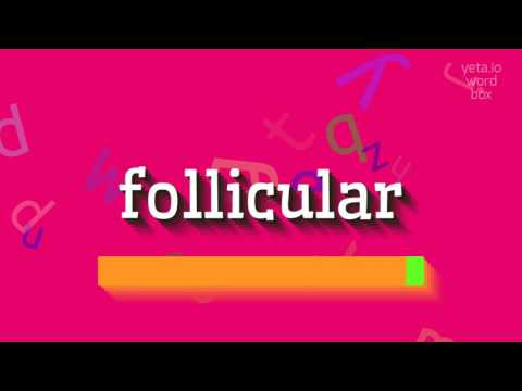 How to say "follicular"! (High Quality Voices)