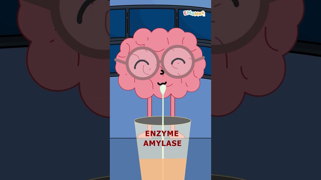 🧠 Brain VS Food 🍔 | Drool Mode Activated!🍩⚡ | EMoMee #shorts #kids