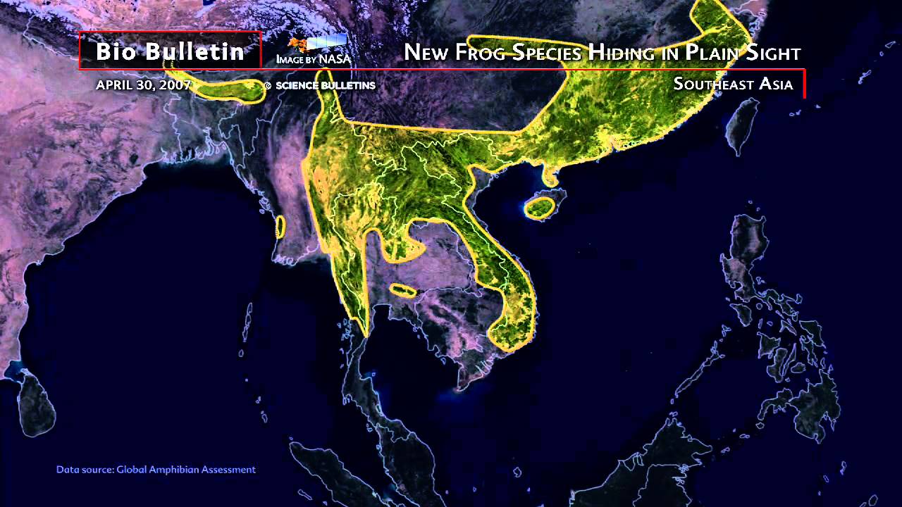 Science Bulletins: New Frog Species Hiding in Plain Sight