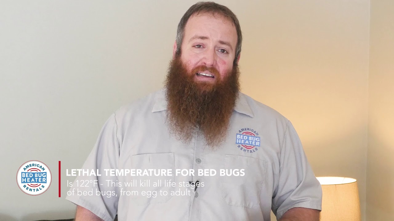 Bed Bug Heat Treatment: How Long to Heat a Room