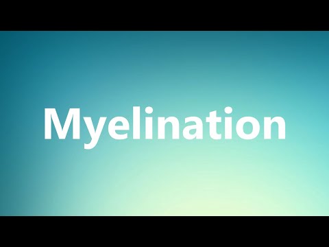 Myelination - Medical Definition and Pronunciation