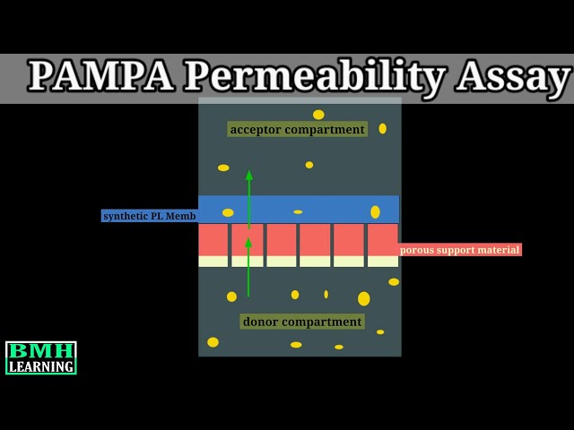 예사이언스 VIDEOS