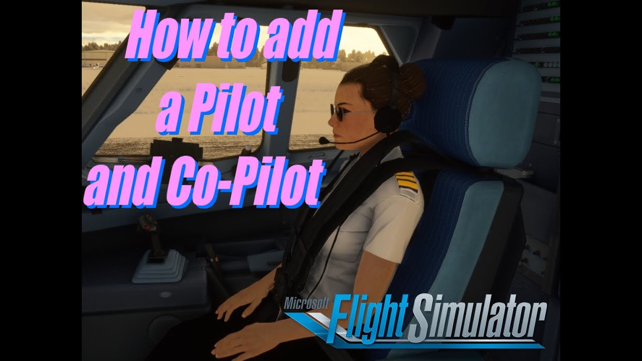 Copilot inside - General Discussion - Microsoft Flight Simulator Forums