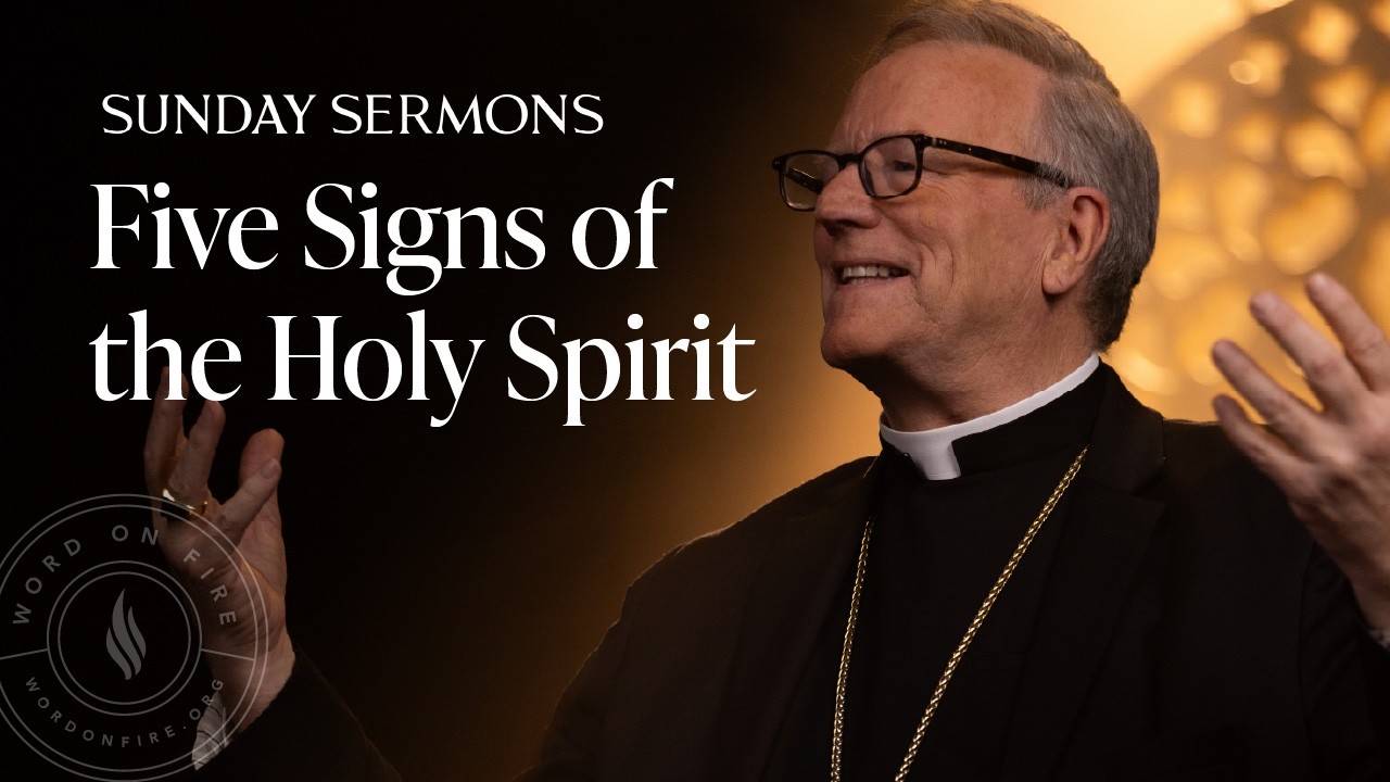 Five Signs of the Holy Spirit - Bishop Barron's Sunday Sermon