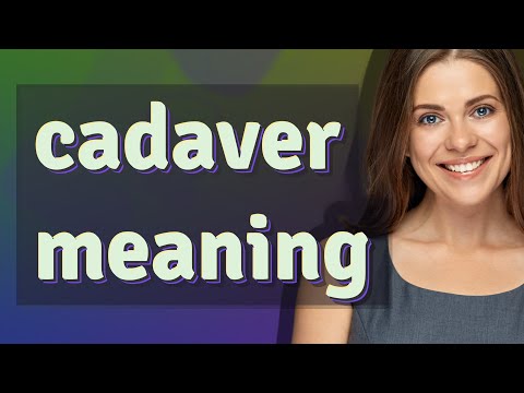 Cadaver | meaning of Cadaver