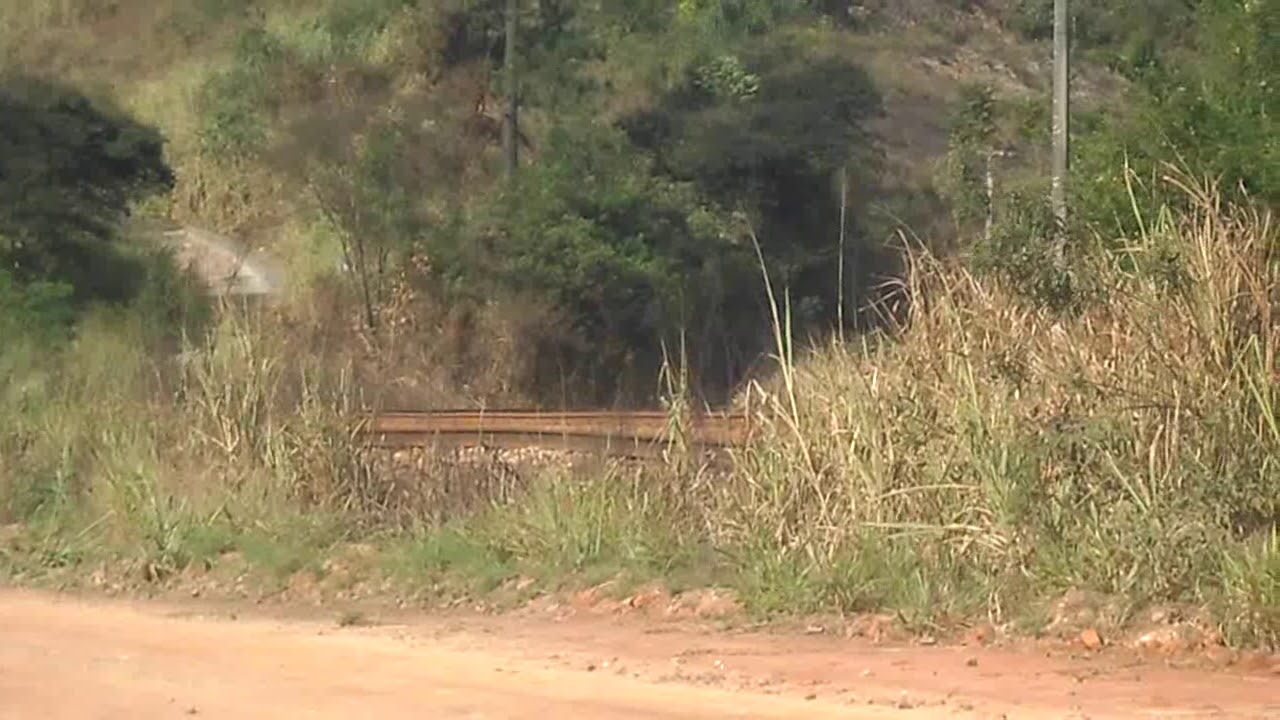 1310 É 1137 DA EFVM VALE PASSANDO VAZIO  EM FLORÁLIA , SANTA BÁRBARA - MG