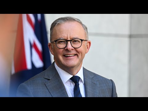 Labor expected to win ‘same number of seats’ they currently hold