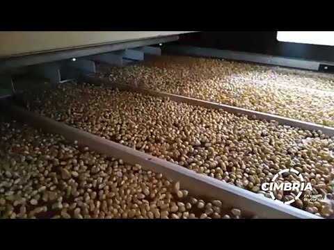 Seed Processing Plant at Best Price in India