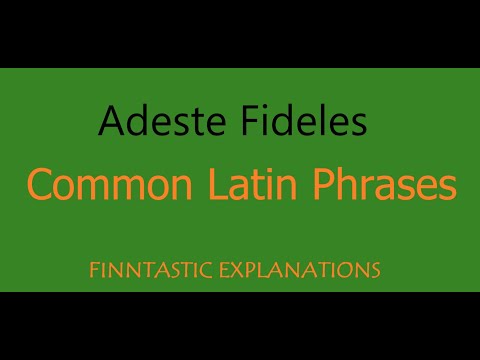 Common Latin Phrases Everybody Should Know # 1