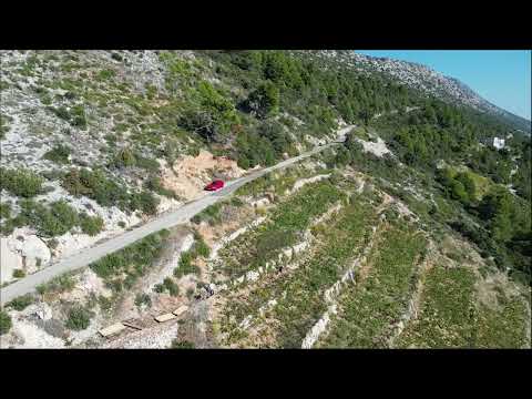 Croatian Vineyards from the Sky