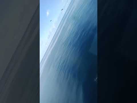 laut Jawa yang tenang dari atas kapal dharma lautan utama #kapallaut #dharmalautanutama #lautjawa