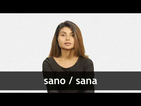 English Translation of “SANO” | Collins Spanish-English Dictionary