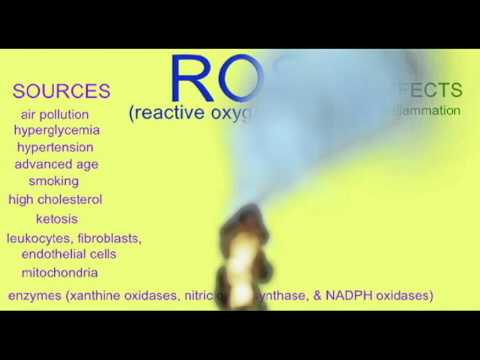 HEART DISEASE: REACTIVE OXYGEN SPECIES, ROS