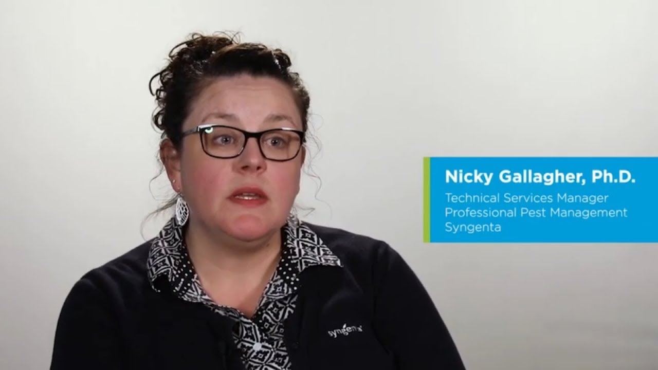 Syngenta Technical Managers Explain SecureChoice Assurance Programs