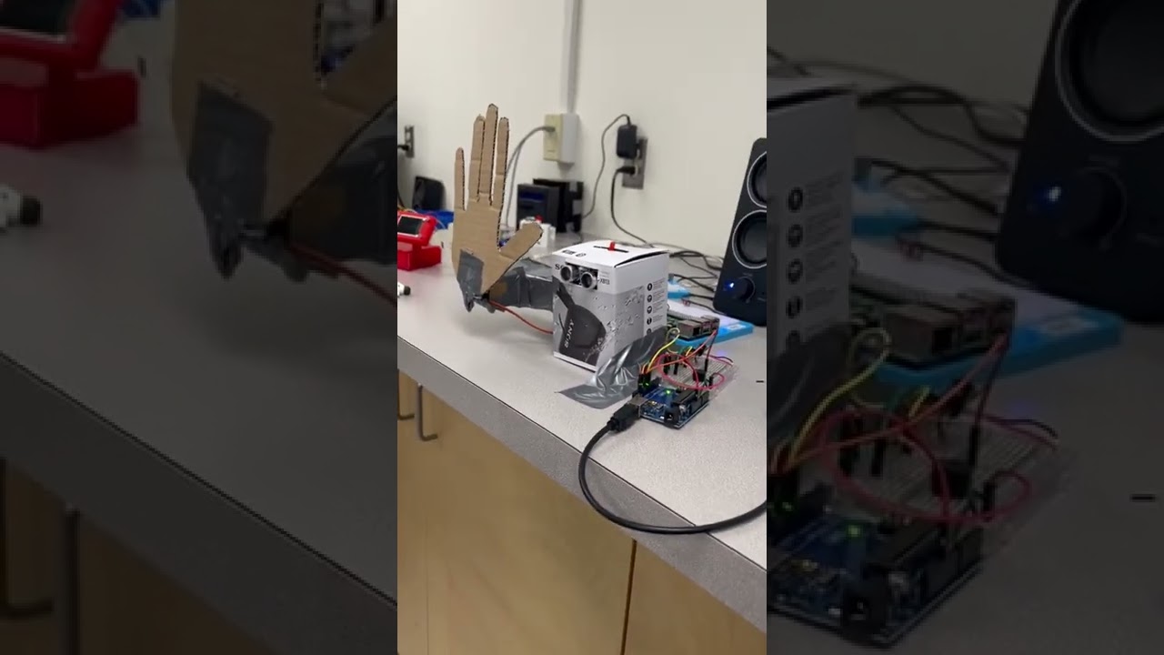 A3 assignment #confedimd