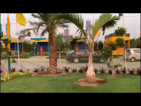 Bougainvillea Plant - Wholesale Price & Mandi Rate for Paper Flower ...