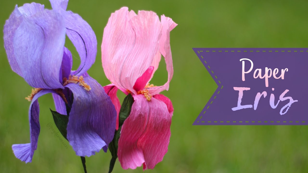 How To Make A Crepe Paper Iris!