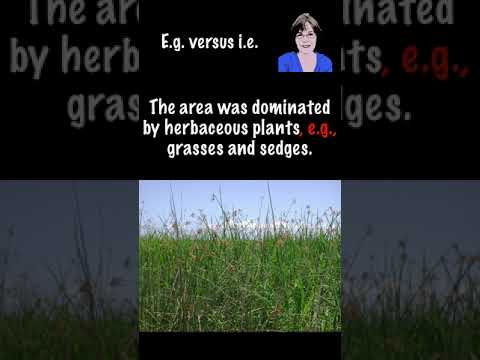 E.g. versus i.e.