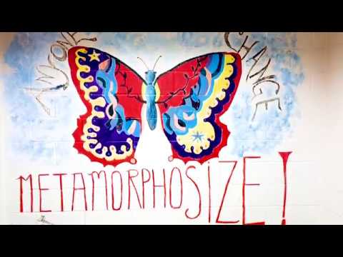 Metamorphosize: A Video Portrait | A Rogue Film