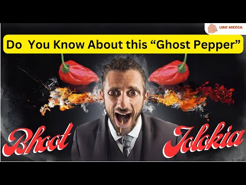 The World's Hottest Pepper: Bhut Jolokia - Taste Test and Scoville Scale Challenge!