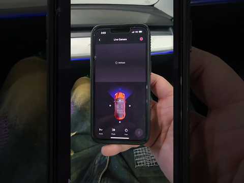 Sentry Mode Live View Issues π€