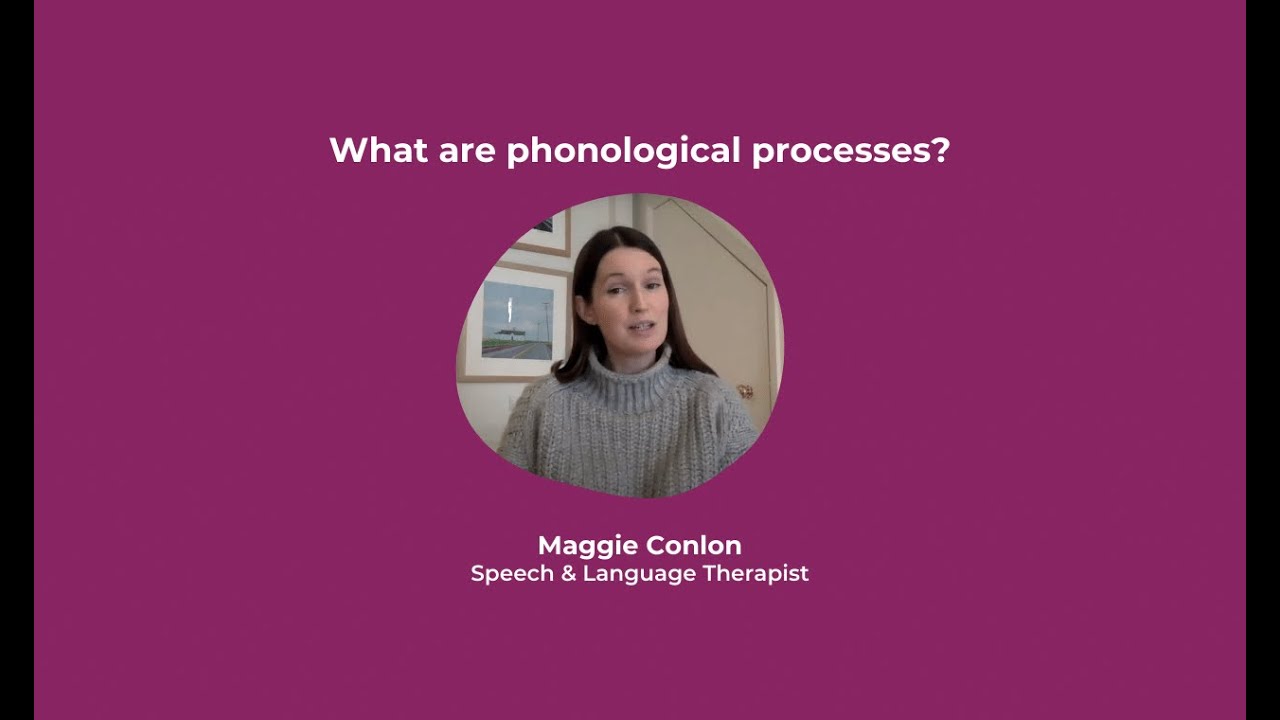 What are phonological processes?