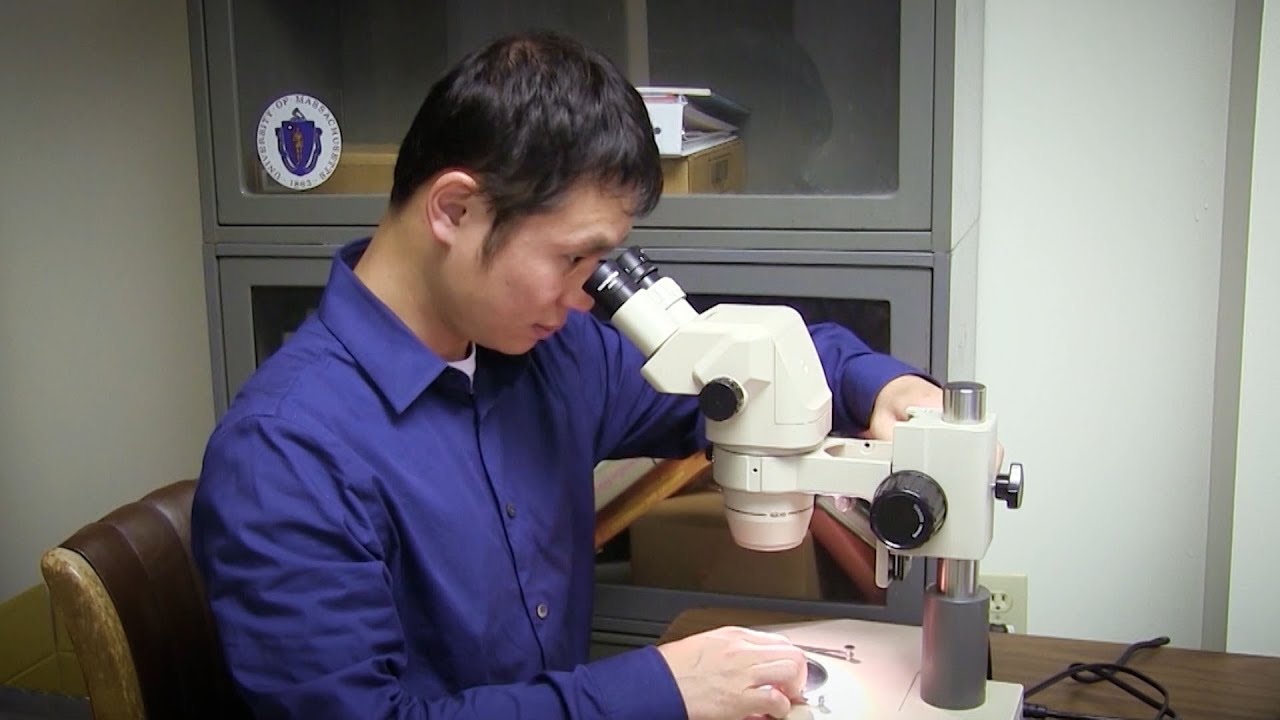 PCN  Tick Research