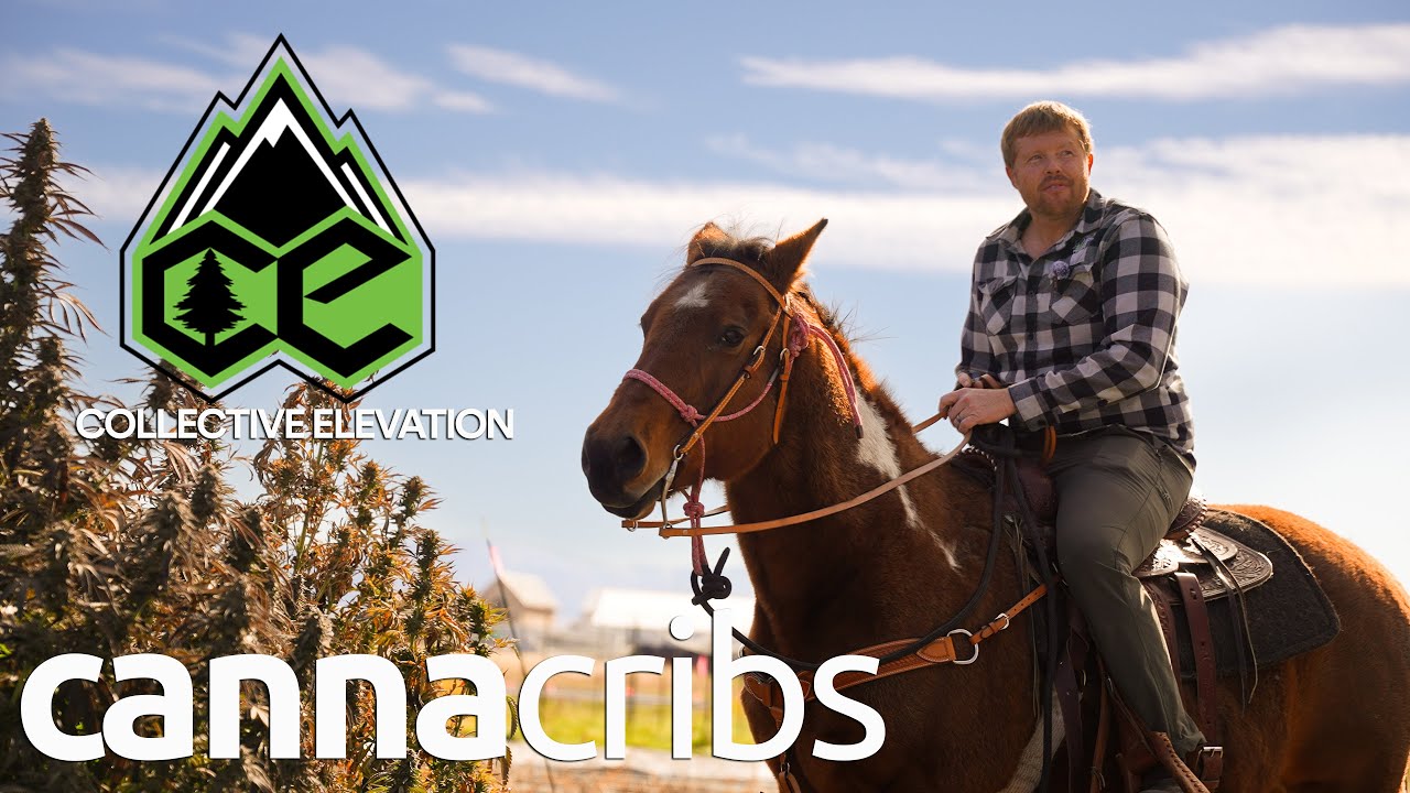 Inside Montana's Largest Cannabis Grow: 100% Organic Living Soil at Scale