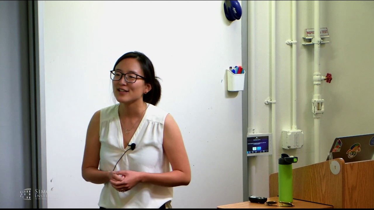 Interpretability - now what?