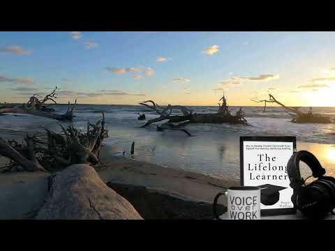 The Lifelong Learner audiobook Preview: How to Develop Yourself Continually By: Peter Hollins ...