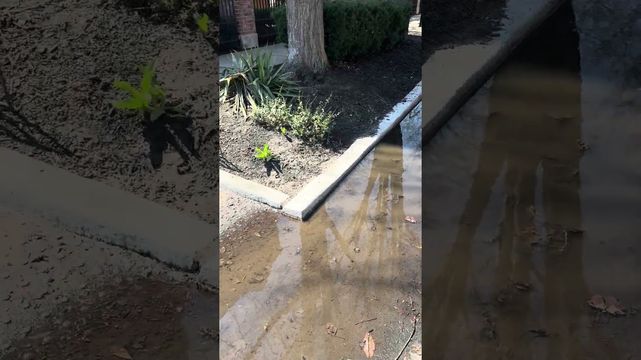 Lake Altgeld Chicago Illinois