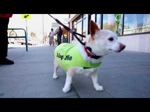 Sacramento Behind the Scenes presents Timeless Thrills® & The Sacramento SPCA