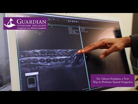 Episode 58: Dr. Gibson Explains a New Way to Perform Spinal Surgery