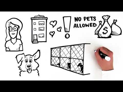 Emotional Support Animal Letter for Housing