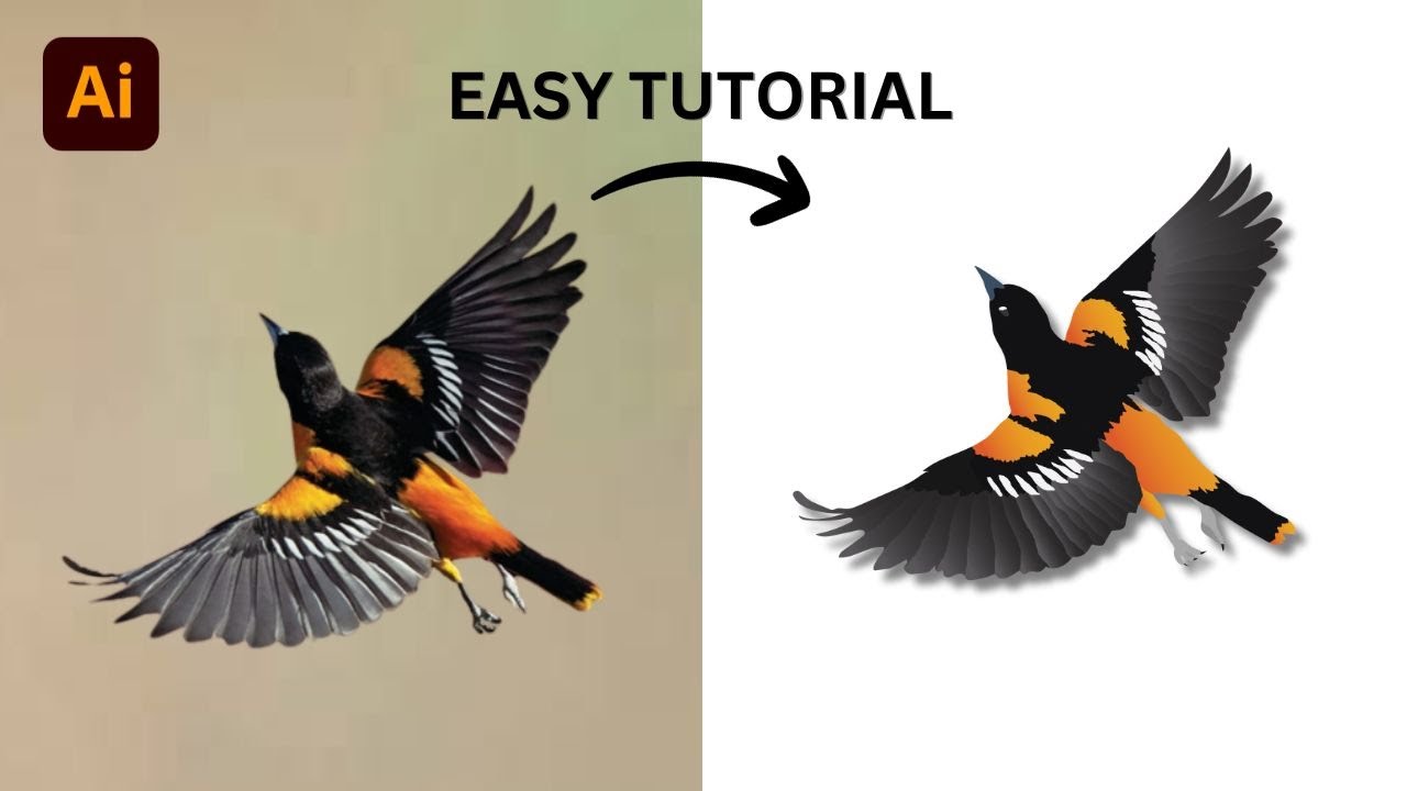 Adobe Illustrator Tutorial - How to Create Oriole Bird Vector Illustration in adobe illustrator