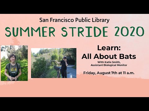 Nature Boost: All About Bats With Katie Smith