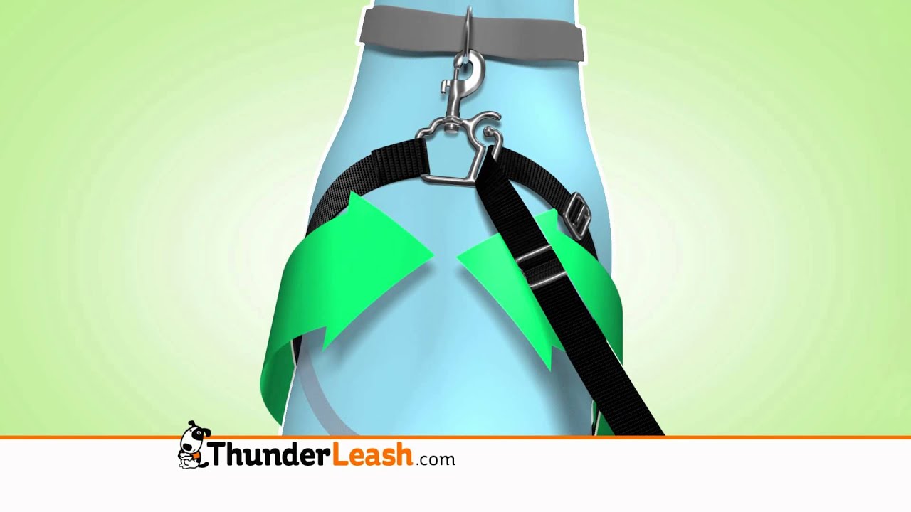 ThunderLeash :30 TV Spot 2015