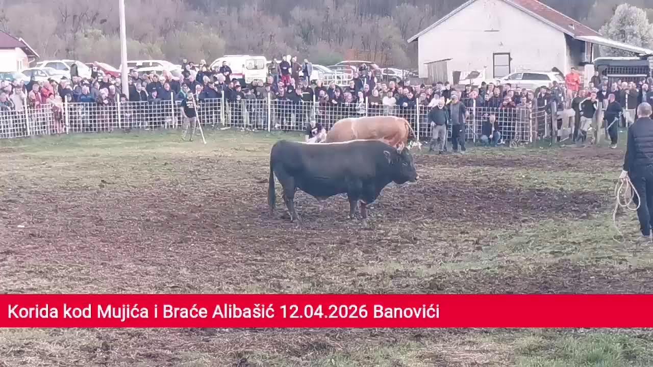 Uživo treći krug Sanica