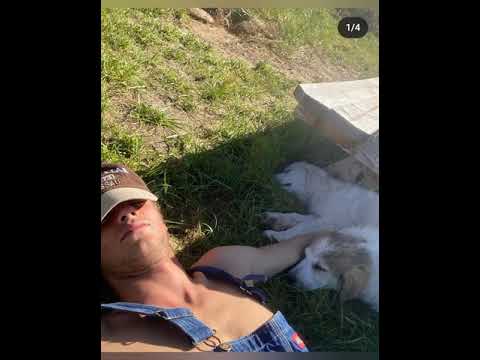 Funny instagram pictures/Jace Norman
