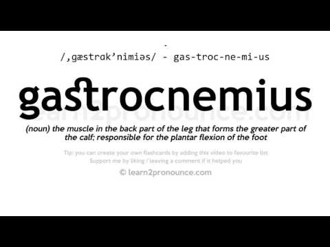 Pronunciation of Gastrocnemius | Definition of Gastrocnemius