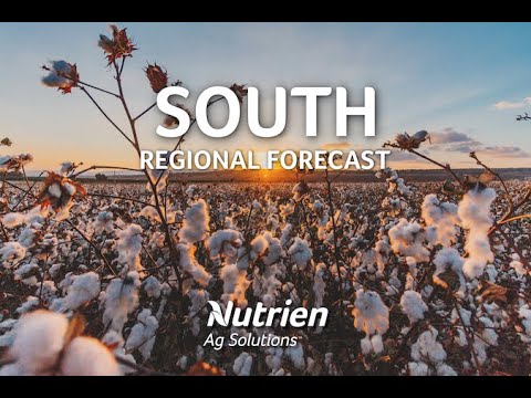 Southern US Regional Ag Forecast - July 21, 2020