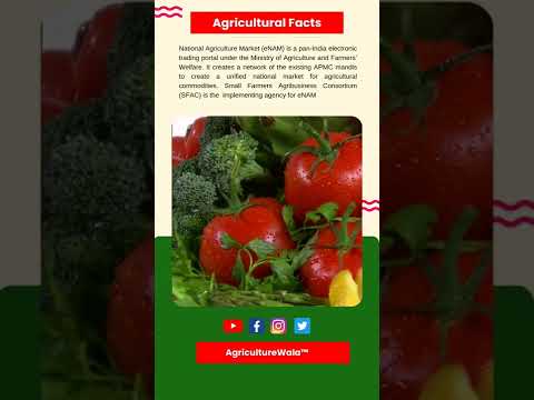 What is e - NAM | National Agriculture Market | APMC Mandis | AgricultureWala | #enam #apmc #agri