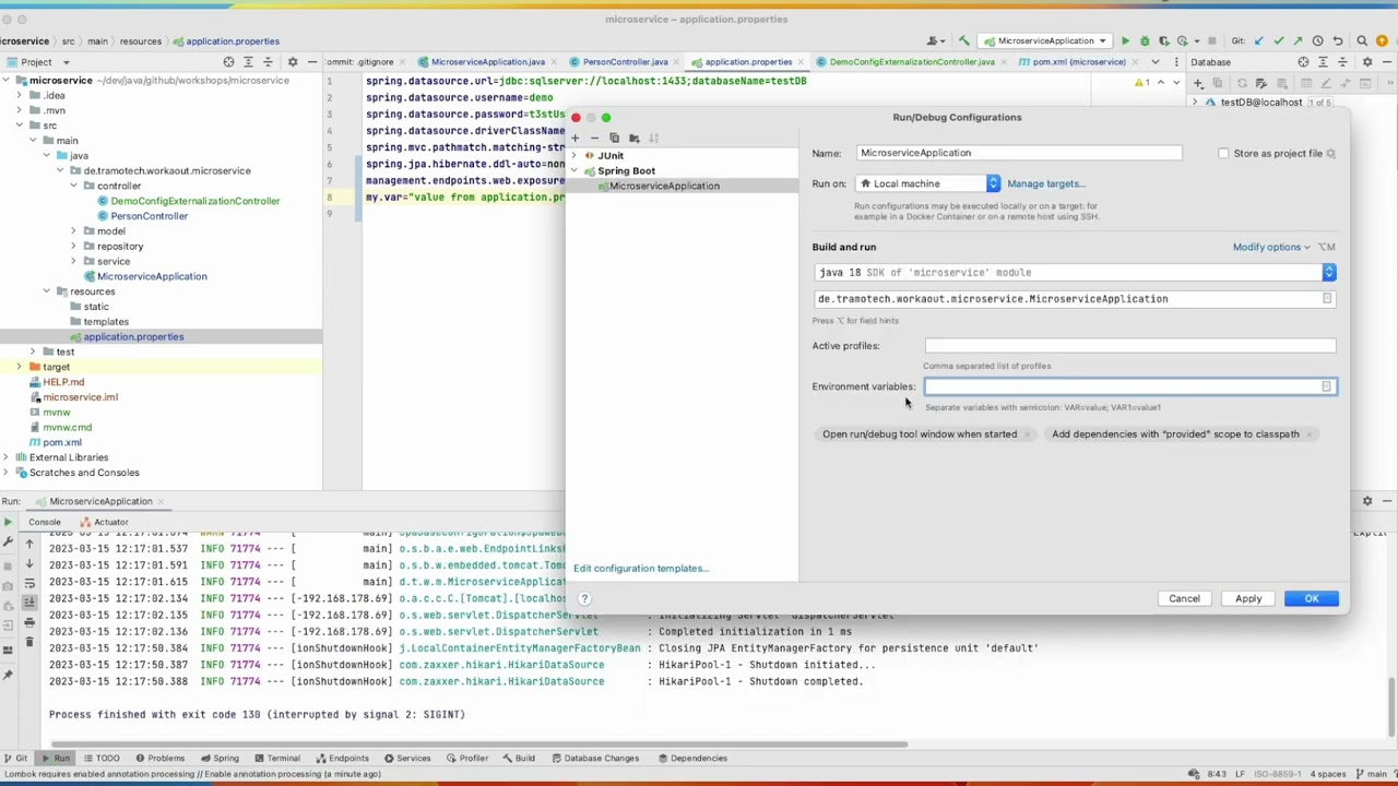 Spring boot externalized configuration