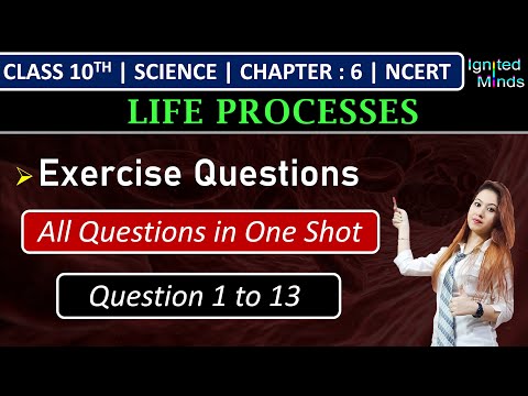 Class 10 Science Chapter 5 Question Answers - Life Processes